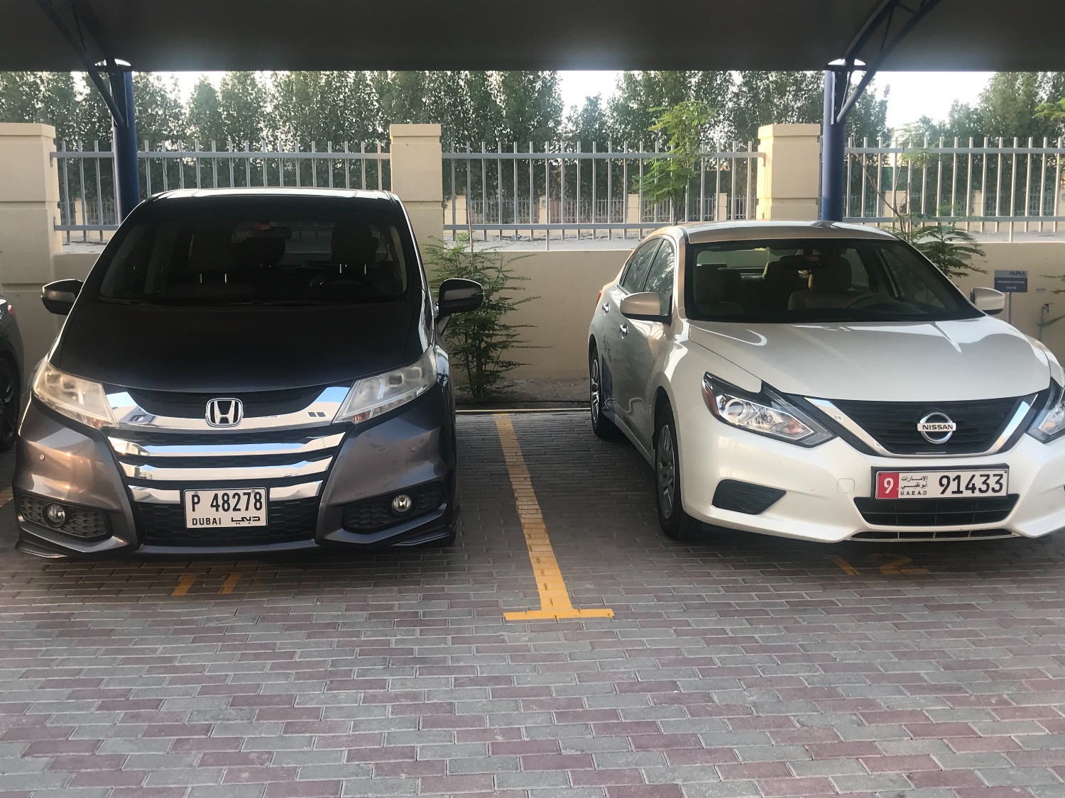 Company Cars - TimeTree